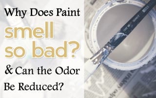 Why Does Paint Smell So Bad and Can the Odor Be Reduced? | The Shadey ...